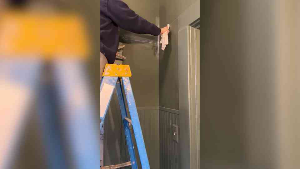 When My Cats Destroyed the Shower