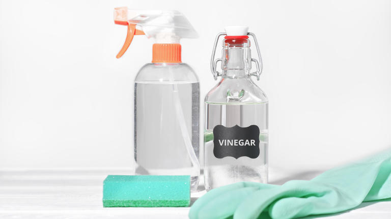 8 Common Kitchen Stains That Can Be Fixed With A Little Bit Of Vinegar