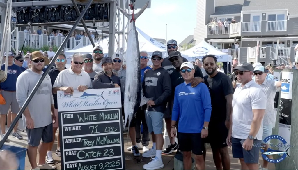 Michael Jordan’s boat wins $400K second prize for 71-pound fish in ...
