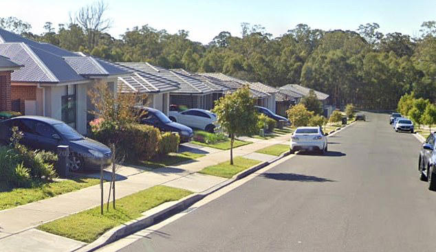 Satellite image showing suburbs now compared with the 90s proves ...