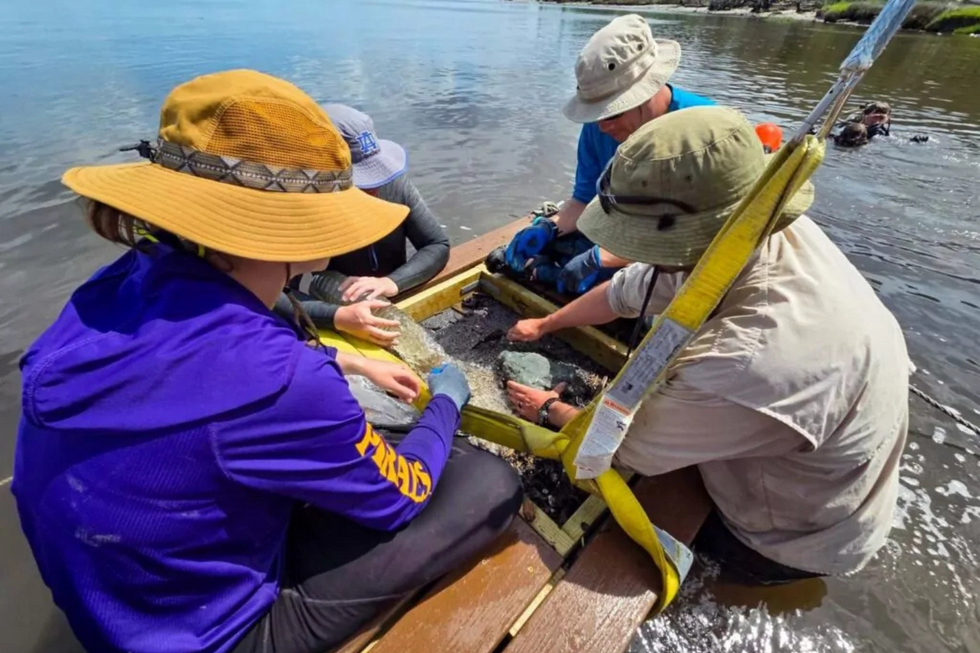 Archaeologists left stunned after finding 300-year-old pirate shipwreck ...