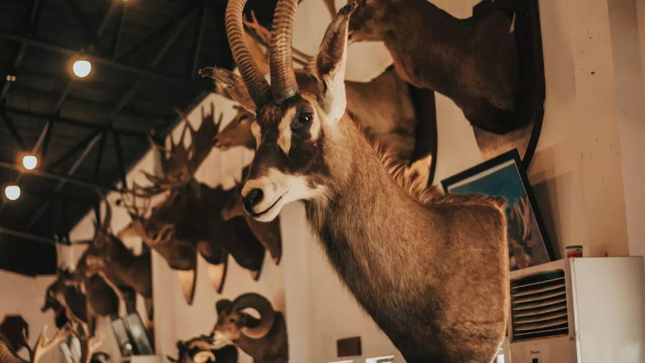 9 common decor items believed to attract bad luck
