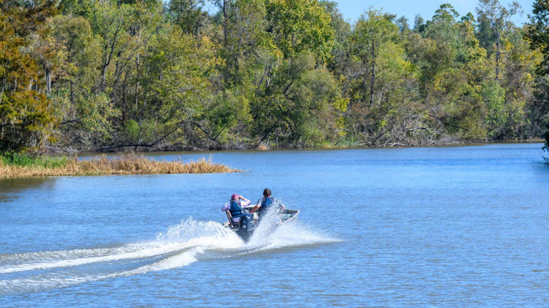 Louisiana's Largest River Swamp Hides A State Park With Miles Of ...