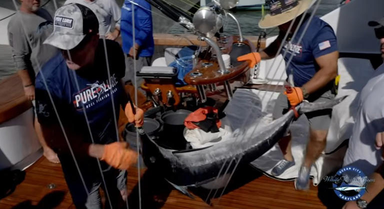 Michael Jordan’s boat wins $400K second prize for 71-pound fish in ...