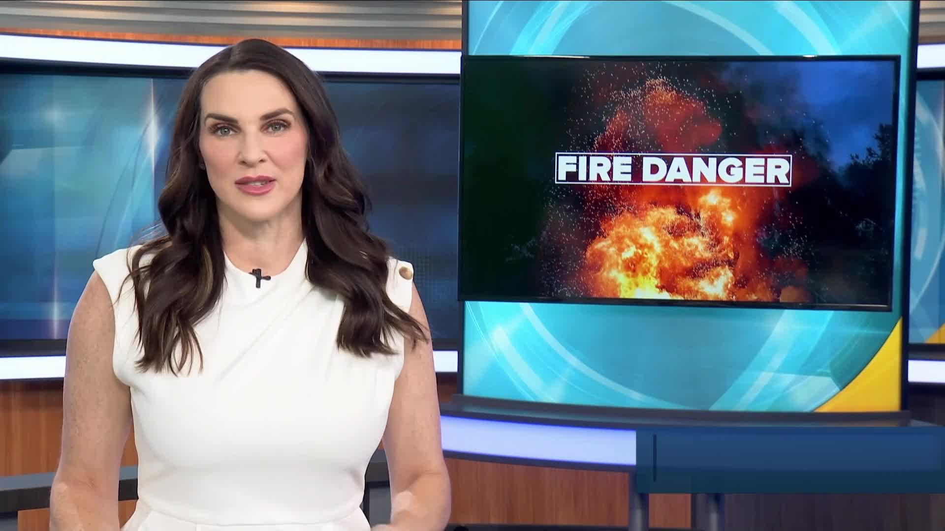 MTN 5:30 News on Q2 with Andrea Lutz 8-10-25