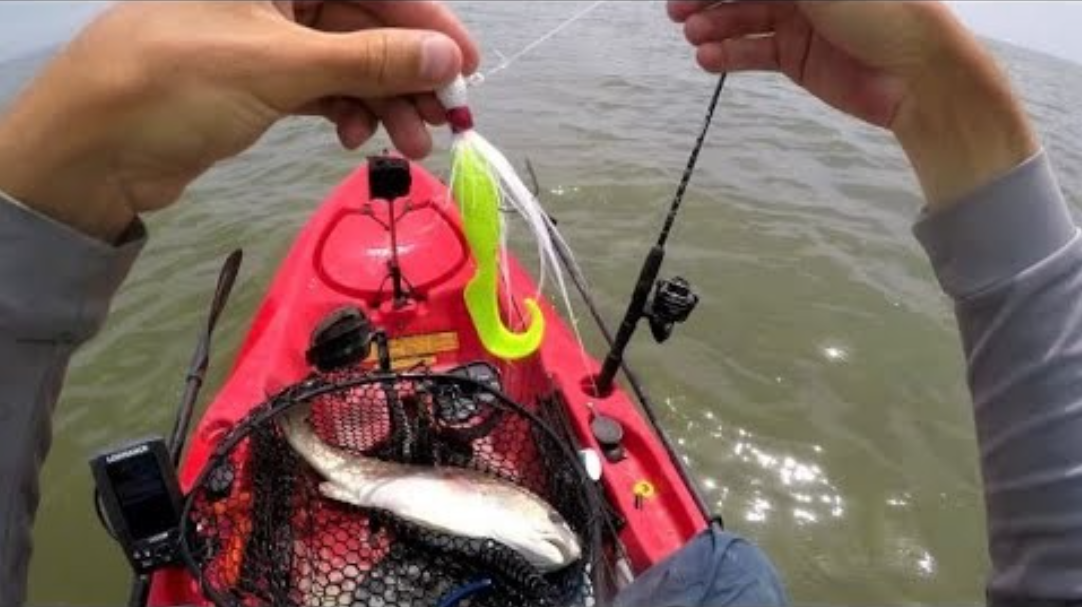 Big Redfish and Dead Alligator! Kayak Fishing at Fripp Inlet