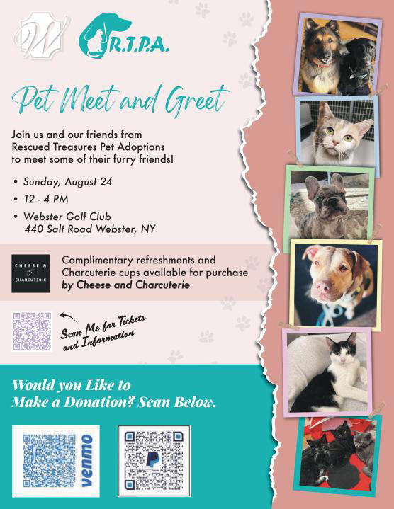 Find your new best friend at an upcoming Webster Pet Meet and Greet!