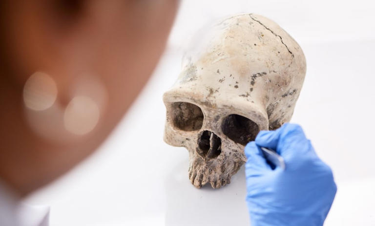 From Bronze Age to Byzantium: Ancient DNA Maps 5,000 Years of Life in ...