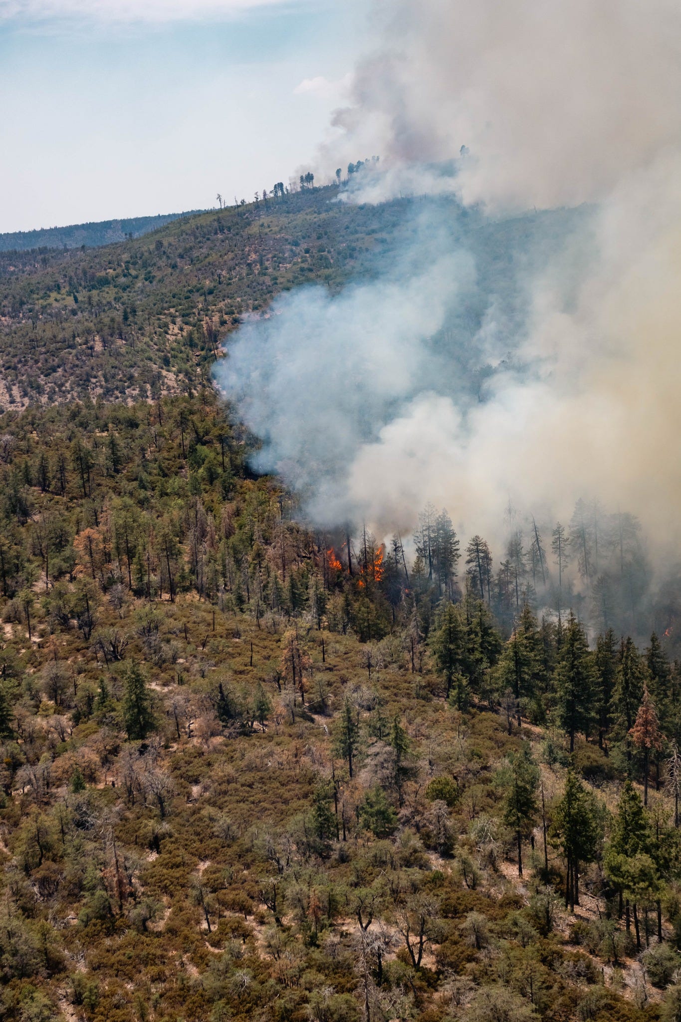 Residents in 2 communities told to evacuate due to growing Billy Fire ...