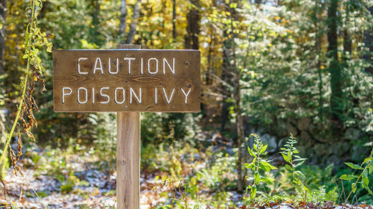 The Easy Hack To Kill Poison Ivy That's Hiding In Your Kitchen