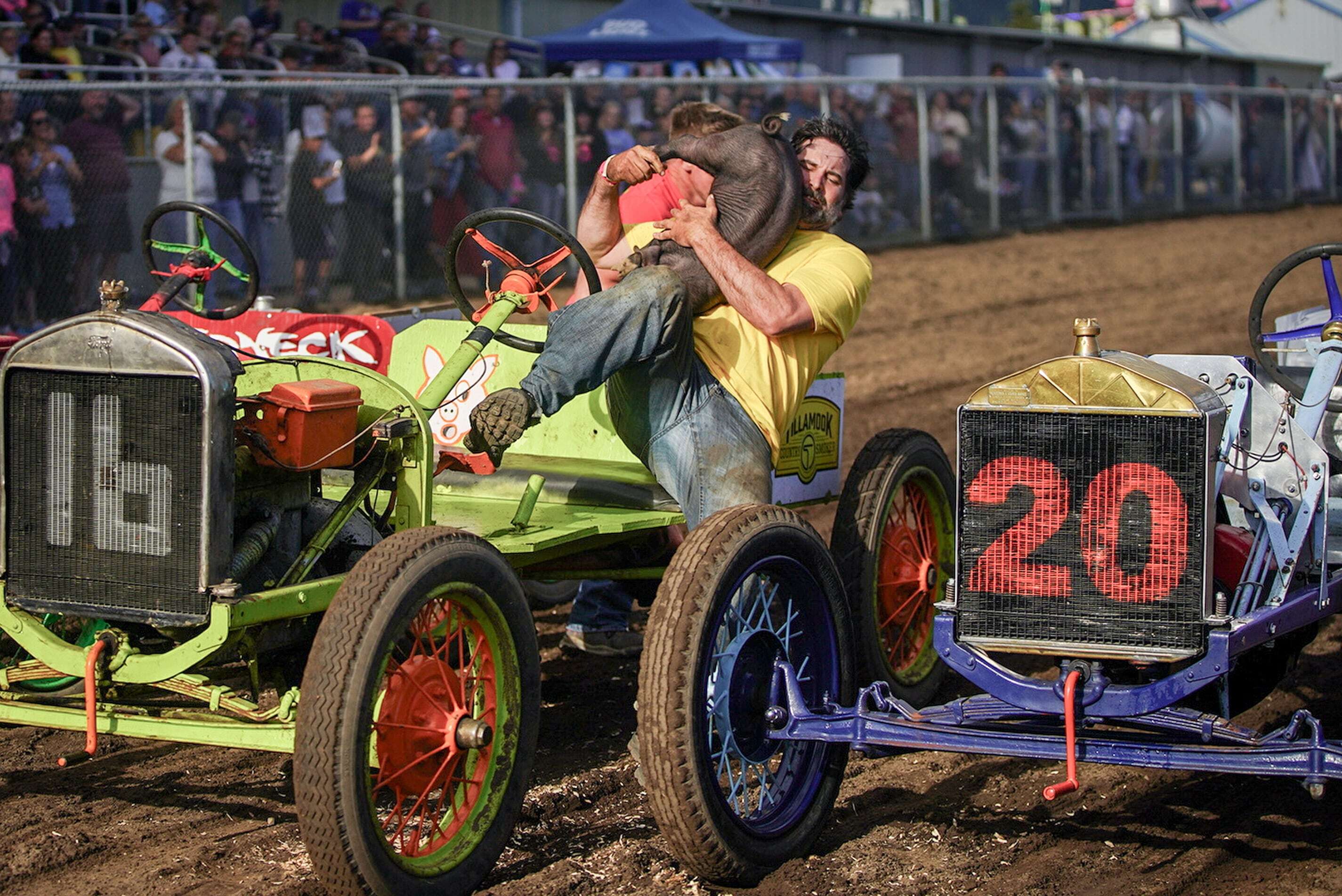 Pig-N-Fords: 100 years of wrangling pigs and racing Model Ts on the ...