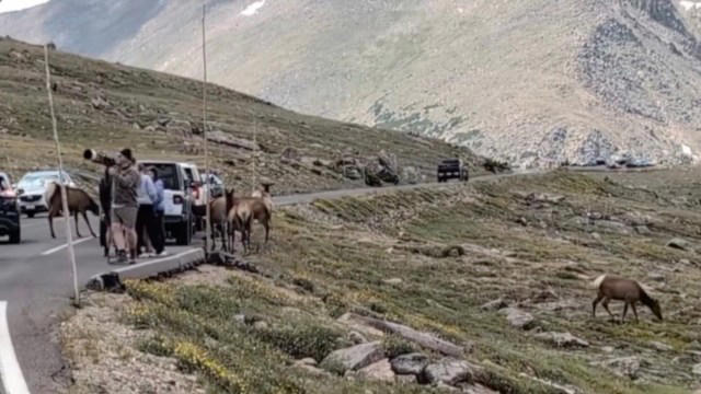Onlooker captures frustrating video of tourists' thoughtless behavior ...