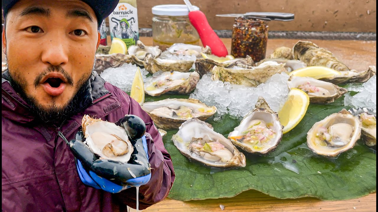 I Tried Raw Alaskan Oysters! 🦪🐻