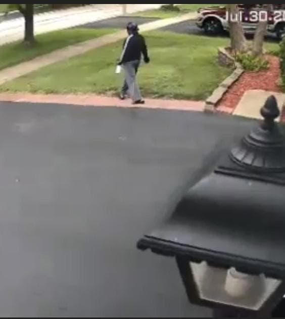 Naperville PD Doing 'Everything We Can' To Find Missing Woman: Arres