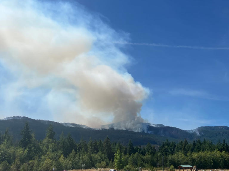 Heat warnings continue for southern B.C. and Vancouver Island