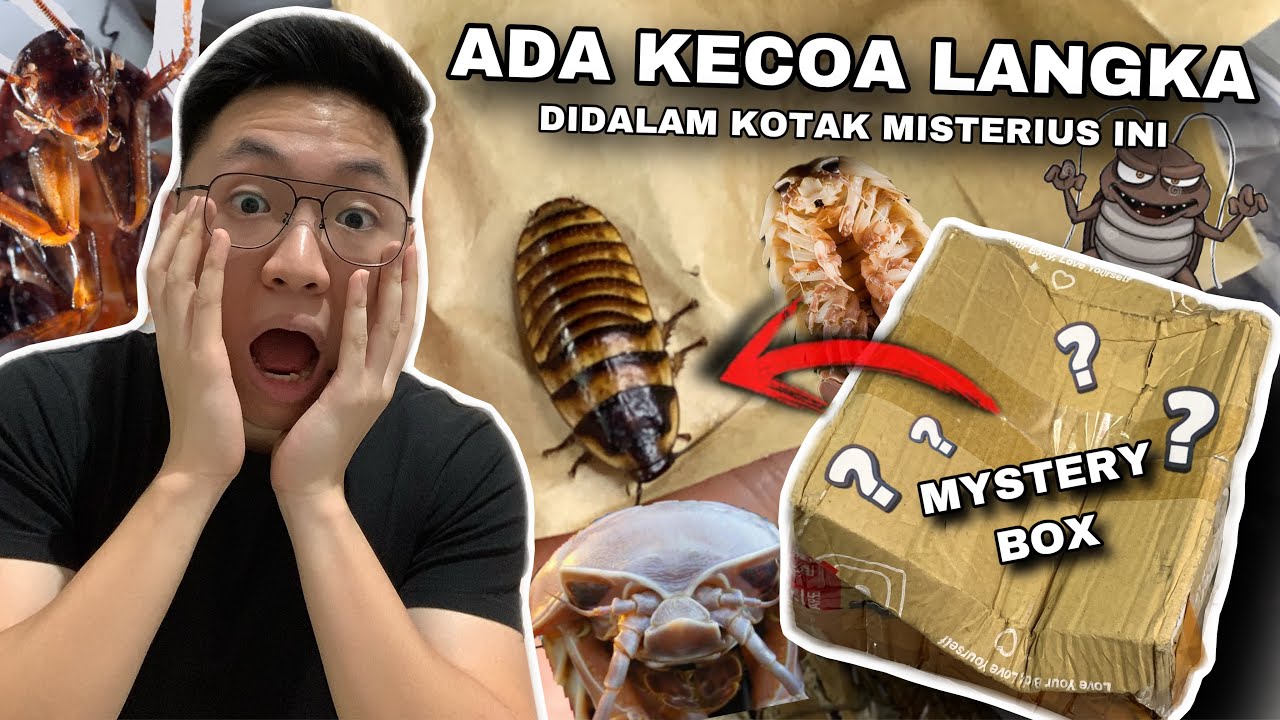 Unboxing Mystery Box Isi Serangga Aneh dan Langka!