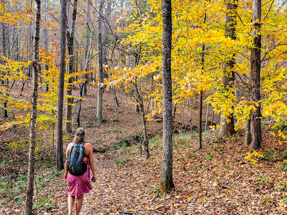 Hiking the Company Mill Trail, Umstead State Park