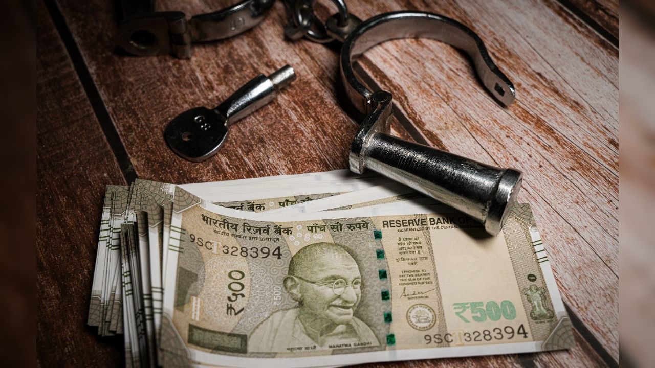 Luxury Udaipur wedding under ED scanner after Rapido driver’s account ...