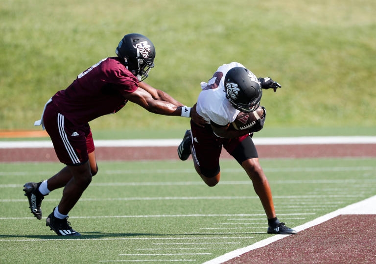Missouri State football routs UT-Martin, wins program's first home game ...