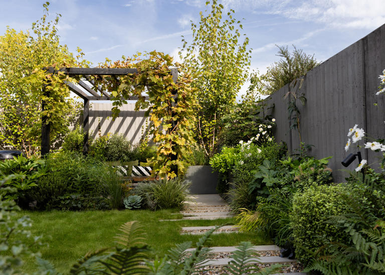 7 garden privacy mistakes that landscape designers say you need to ...