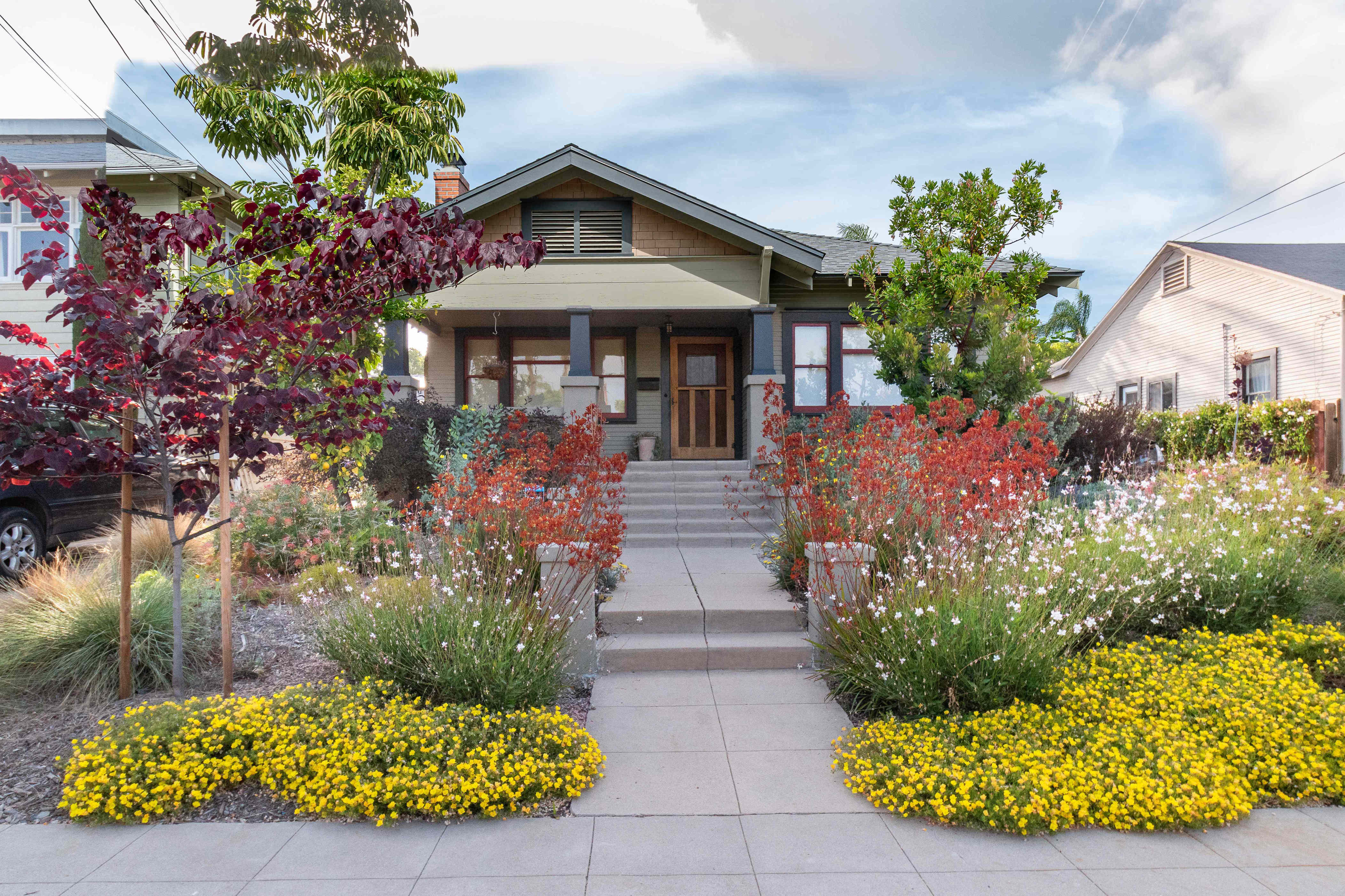 13 Expert Tips for Creating a Low-Maintenance Landscape with Native Plants