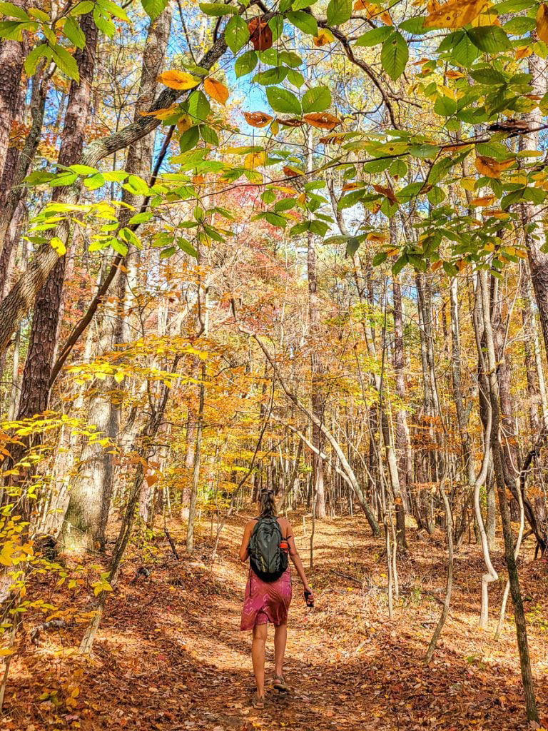 Hiking the Company Mill Trail, Umstead State Park