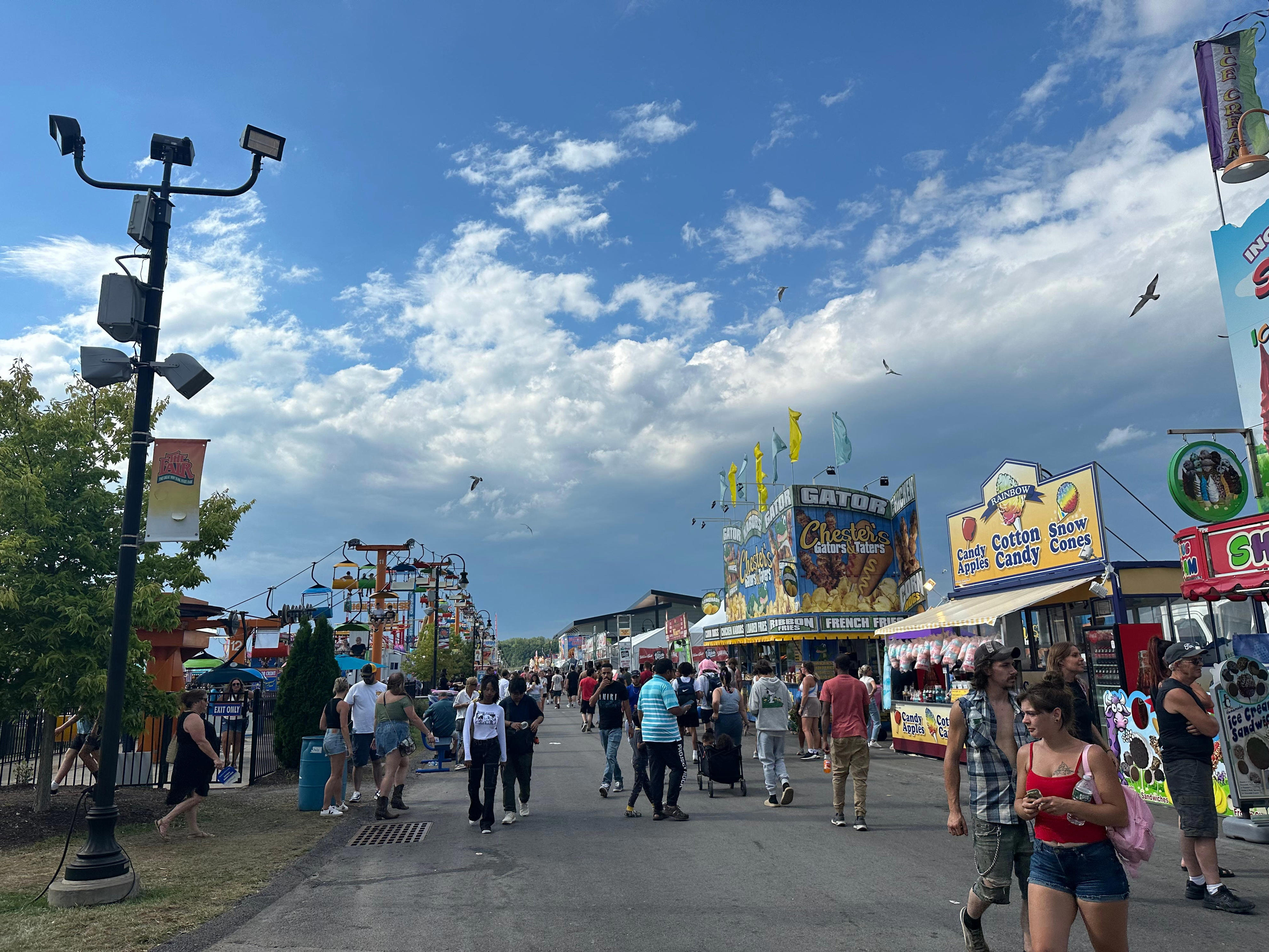 New York State Fair app helps you navigate food, events, and more: See ...