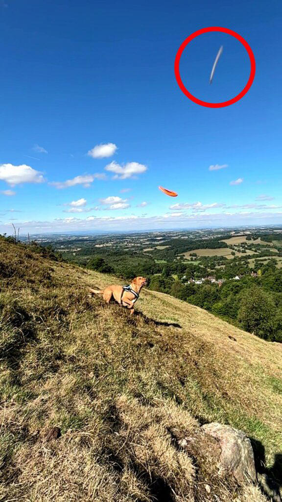 Dog walker captures UFO moving faster than the eye can see