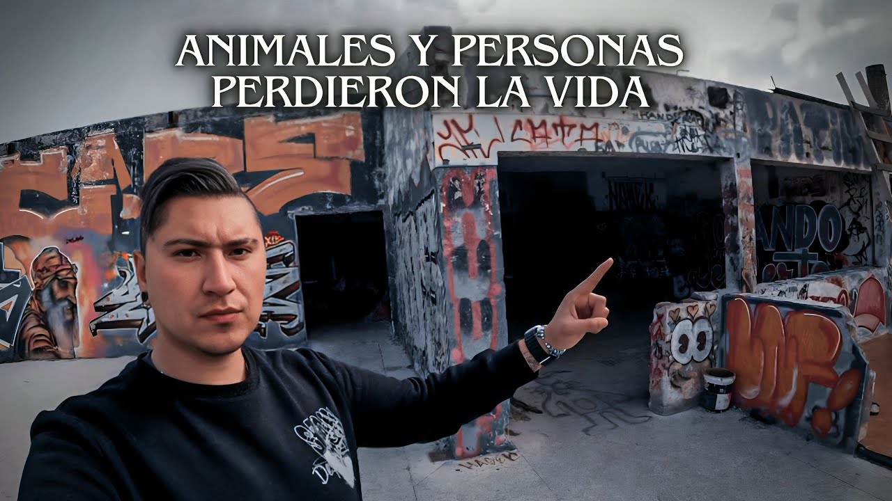 Explorando el Matadero Maldito de Concón | Urbex Chile Extremo