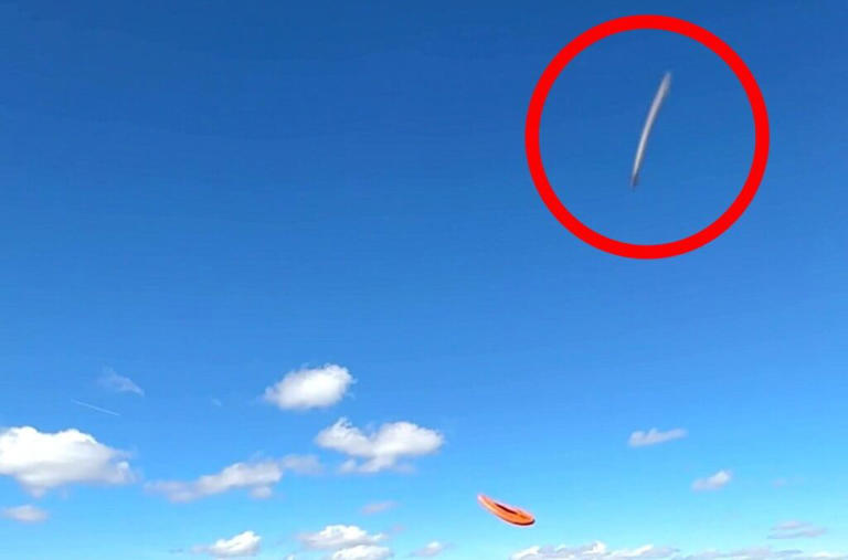 Dog walker captures UFO moving faster than the eye can see