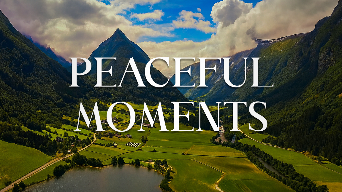 Peaceful Moments in Nature – 4K Scenic Escape