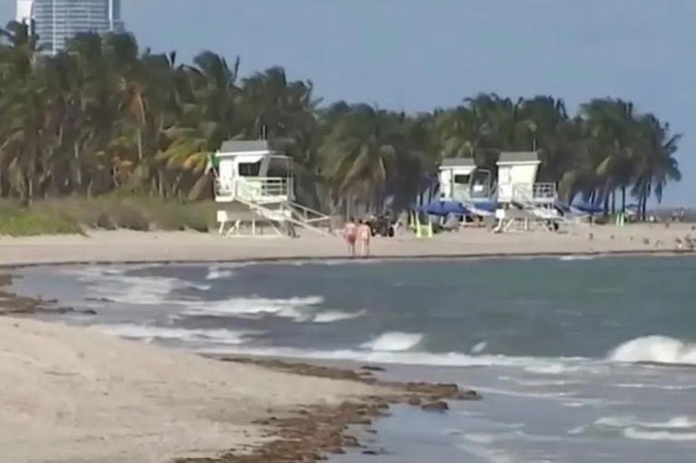 Florida weather: Deadly rip current warning issued as 'worrying ...