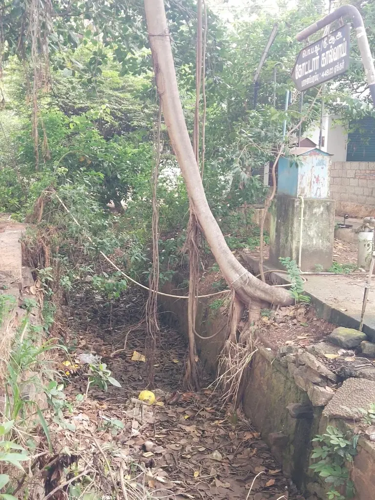 Uncontrolled encroachments choke veins of Kottar waterway in Nagercoil
