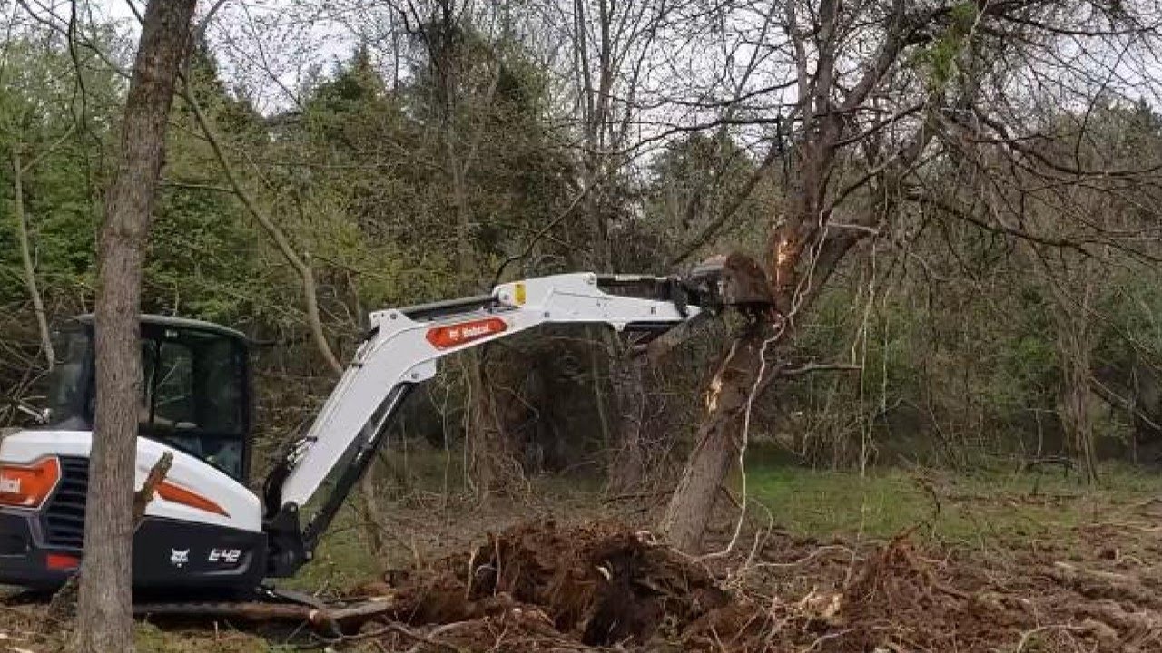 Mini Excavator vs. Huge Honey Locust Tree | Clearing for a New Pond