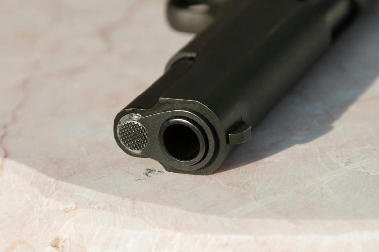 Gun safety back in focus after another child is accidentally shot in ...
