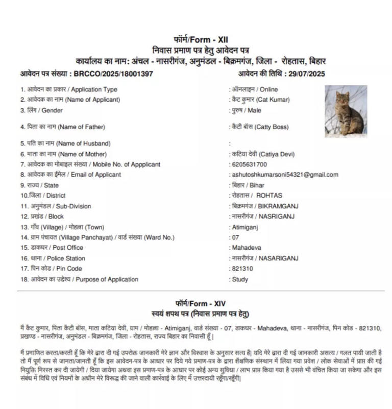 After 'Kutta Babu,' 'Cat Kumar' seeks Bihar residence; authorities ...