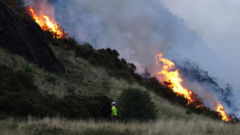 Firefighters dampen down hotspots after battling blaze at Edinburgh ...