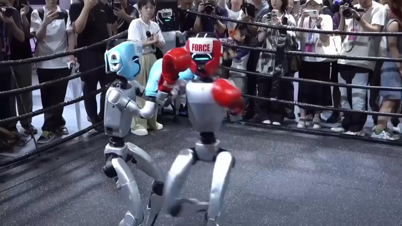 Boxing bots in the ring at World Robot Expo