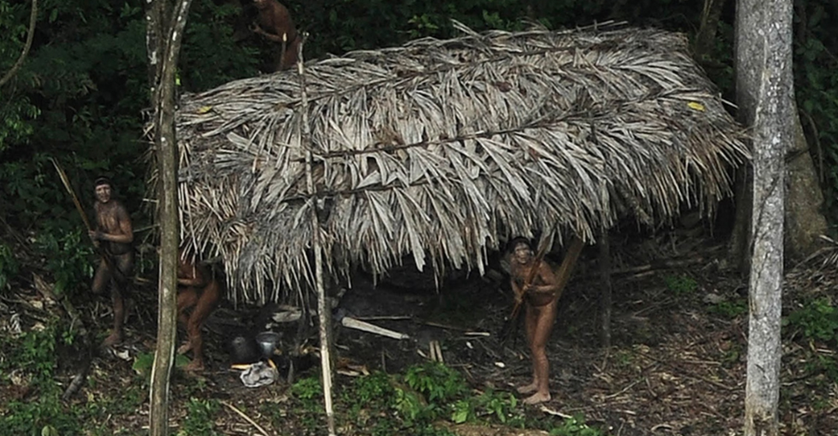 New Evidence Of Uncontacted Jungle Tribe Emerges In Bolivia