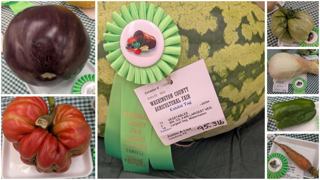 Cokeburg man wins big again in vegetable growing contests at Washington ...