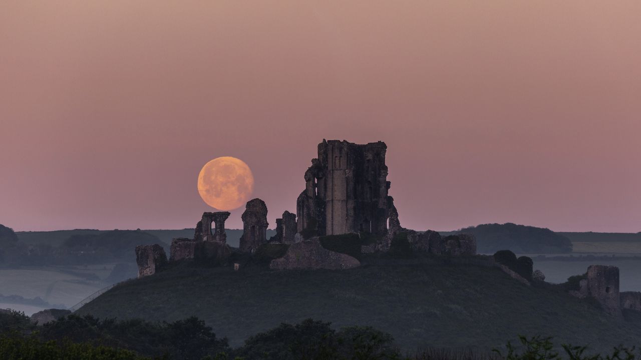 Full moon calendar 2026: When to see the next full moon