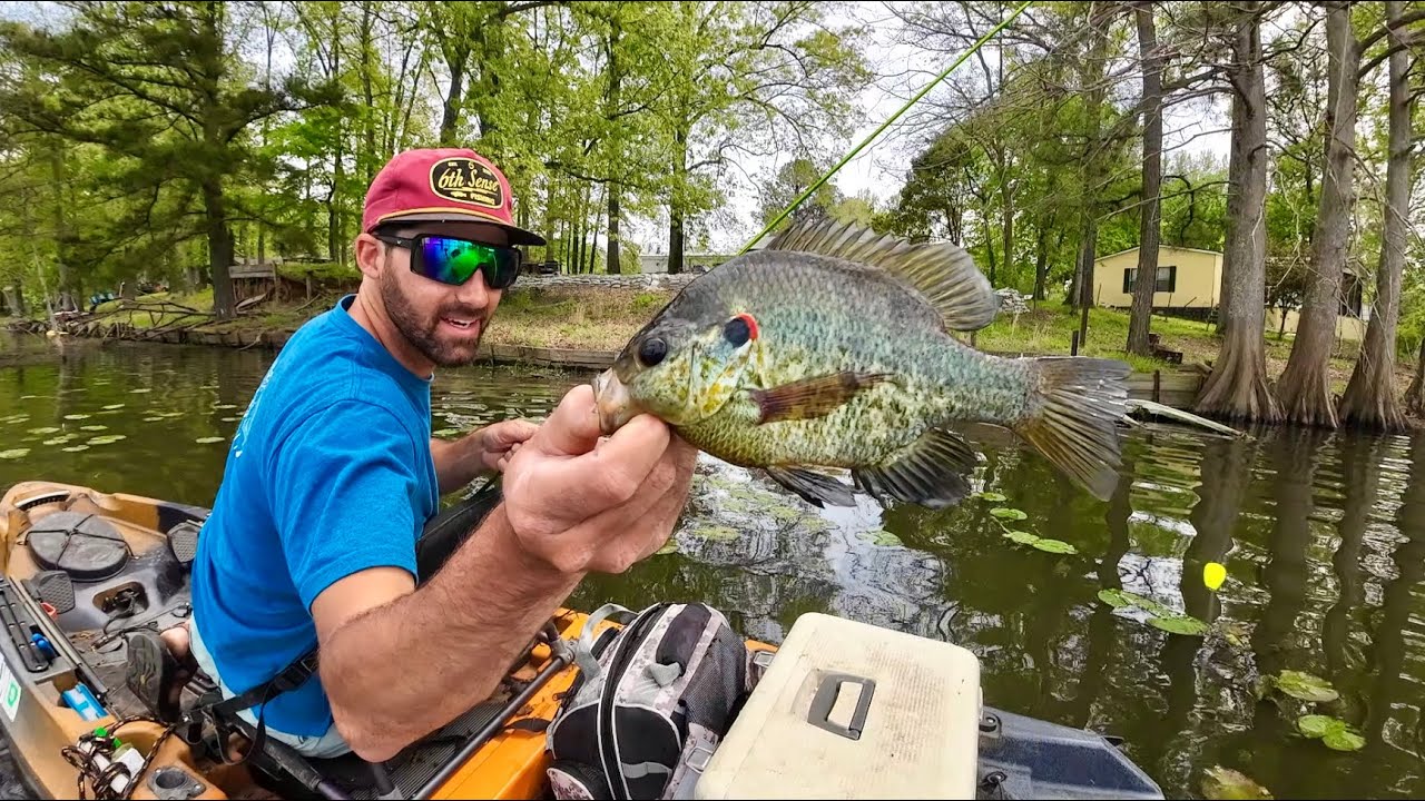 Red-ears go crazy for biggest catch of the year