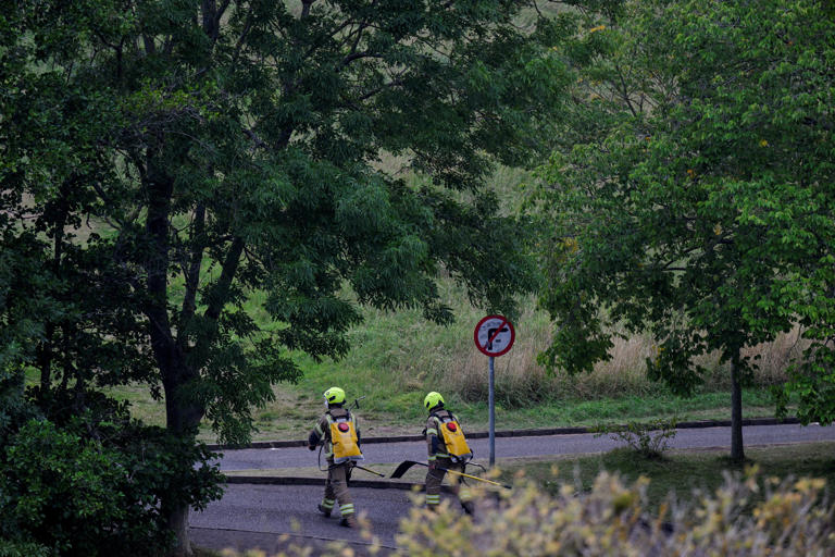 Arthur’s Seat fire live: Human activity ‘almost certainly’ the cause of ...