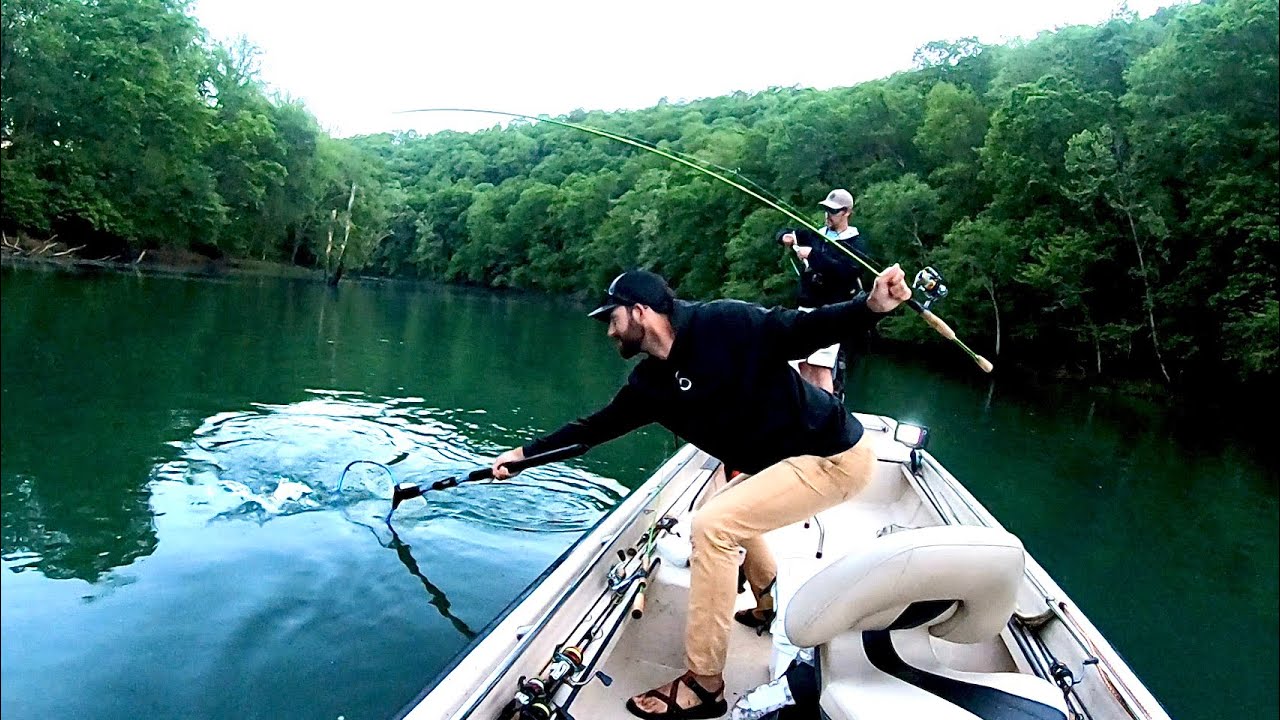 Unexpected trout catch surprises during river fishing