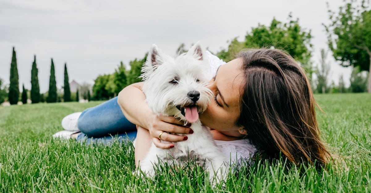 The 10 Best Emotional Support Animals