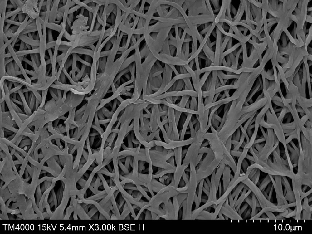 Deep Tech, Textile Firm Nibertex Secures $7M in Seed Funding