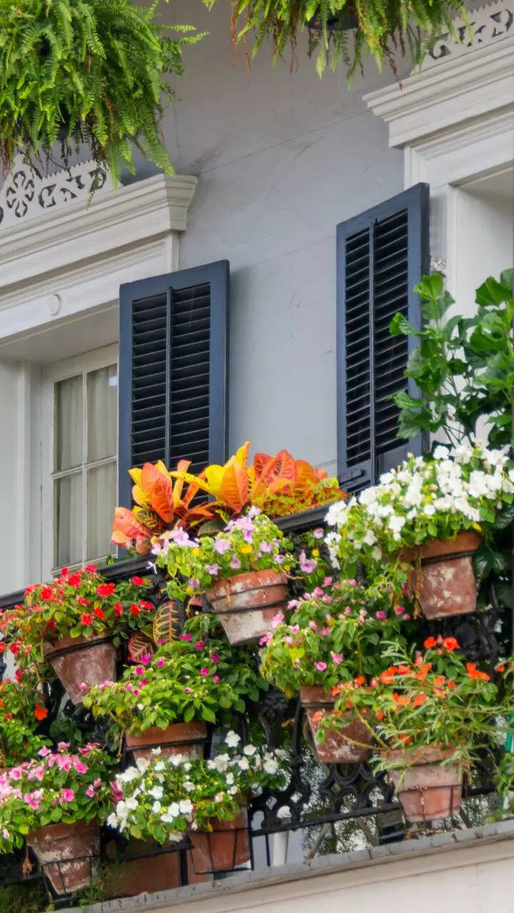 8 vertical gardening ideas for tiny balconies