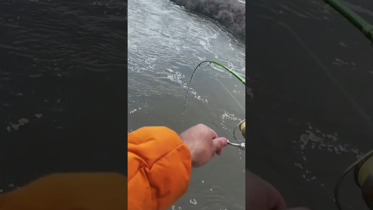 Hooking slabs off the top of an old bridge crossing