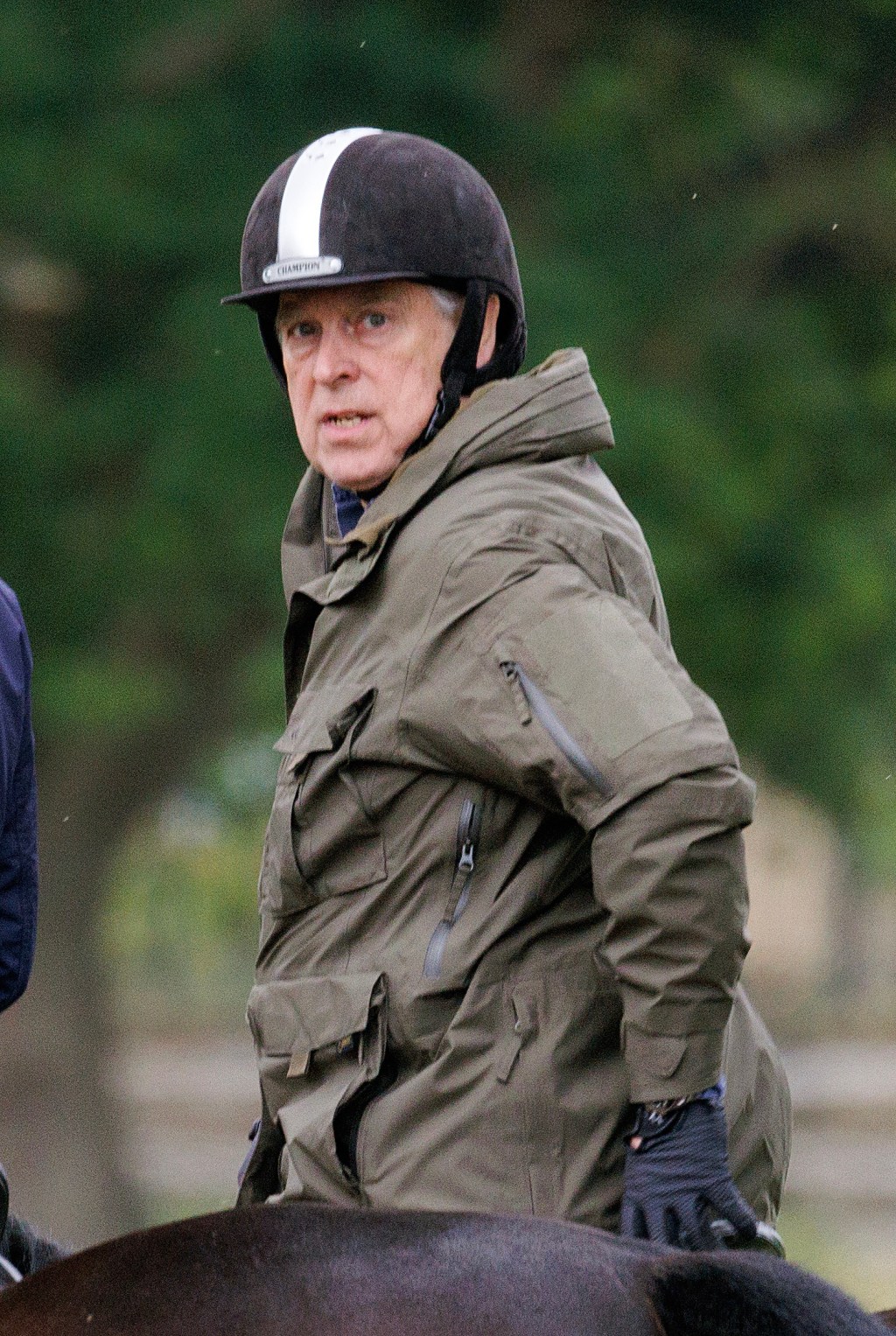 Prince Andrew ‘annoyed’ by lack of royal status, has no future: author