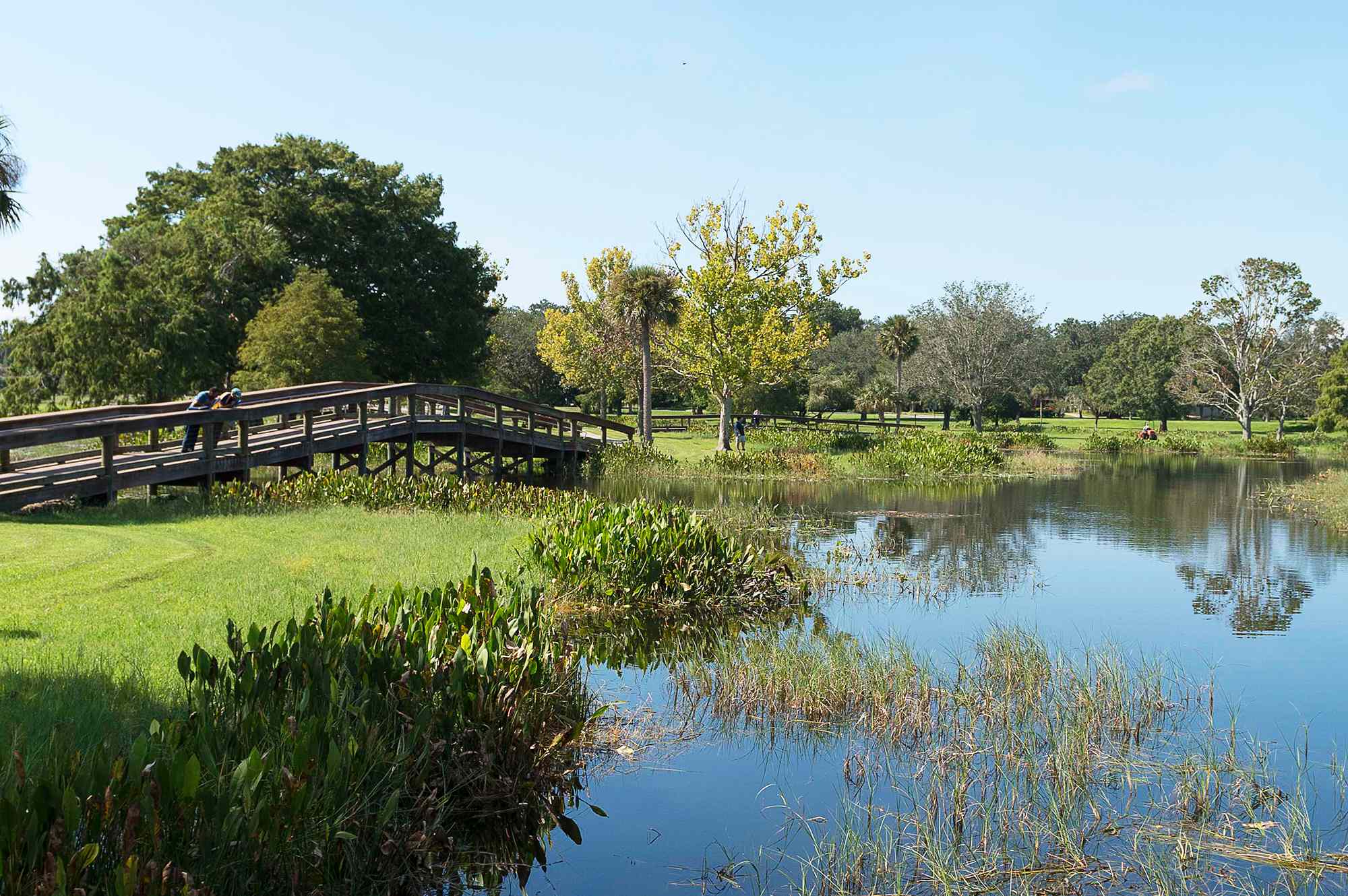 This Charming Lakefront Florida City Was Just Named the Fastest-growing ...